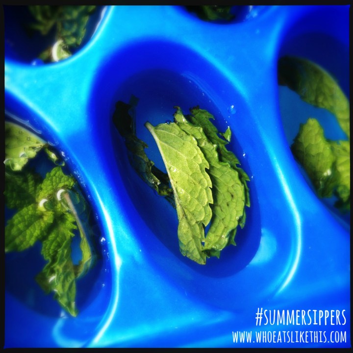 Summer Sippers, fruit/herbs, mixers & cubes… – Who Eats Like This?